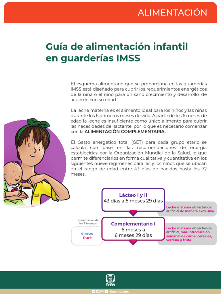 Guia Alimentacion | PDF