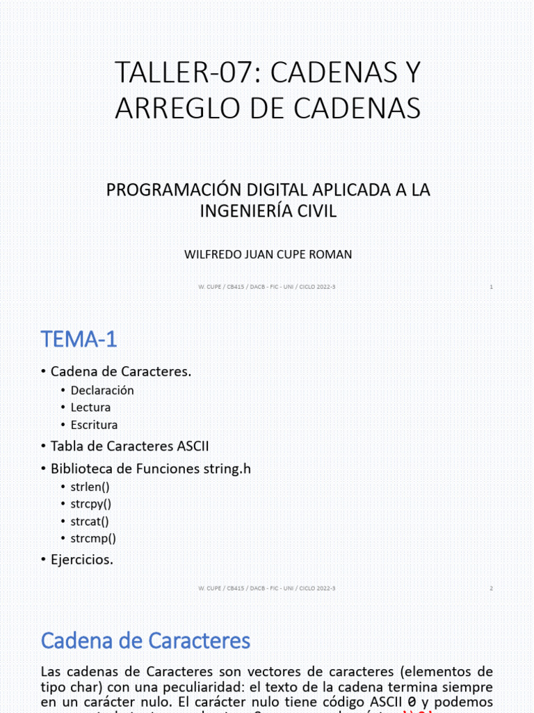 T07 Cadenas y Arreglo de Cadenas | PDF