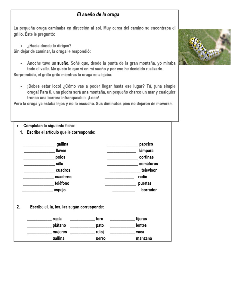 Texto La Oruga | PDF