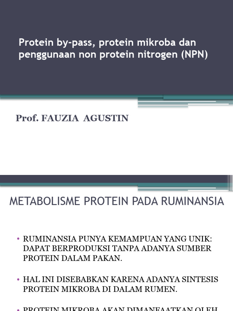10.1, Protein By-Pass, Protein Mikroba Dan Penggunaan Non | PDF