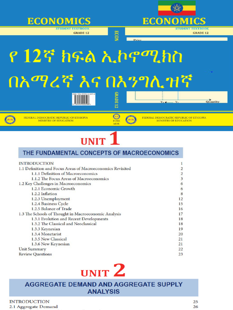 Grade 12 Economics | PDF