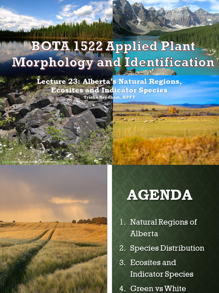 Lecture 23 - AB Natural Regions, Ecosites, Indicator Species 2023 | PDF ...