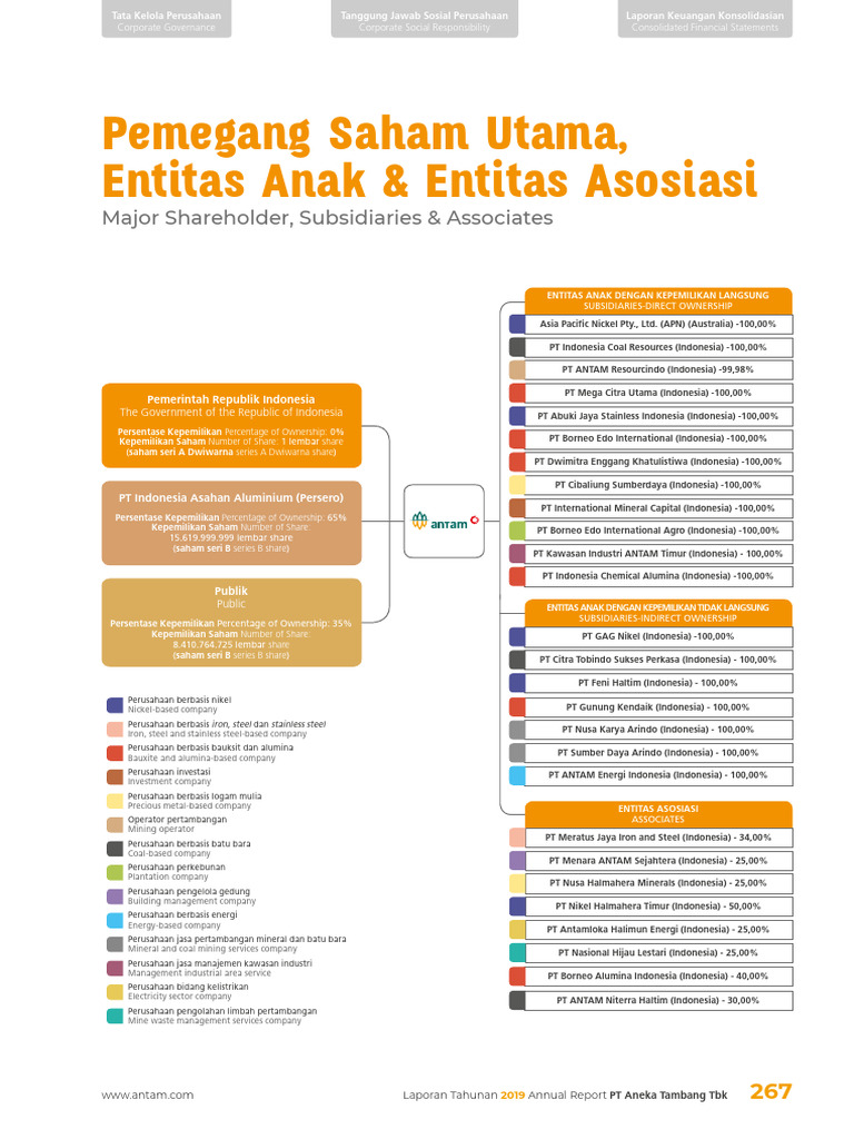 Pemegang Saham Utama Entitas Anak - Entitas Asosiasi | PDF