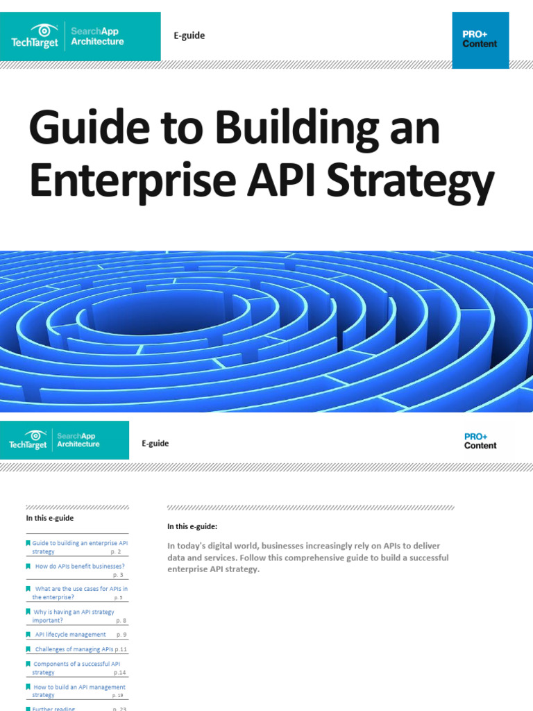 Guide To Building An Enterprise API Strategy | PDF