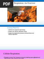 Hydrogen Carbonate Indicator Experiment | PDF | Experiment | Accuracy ...