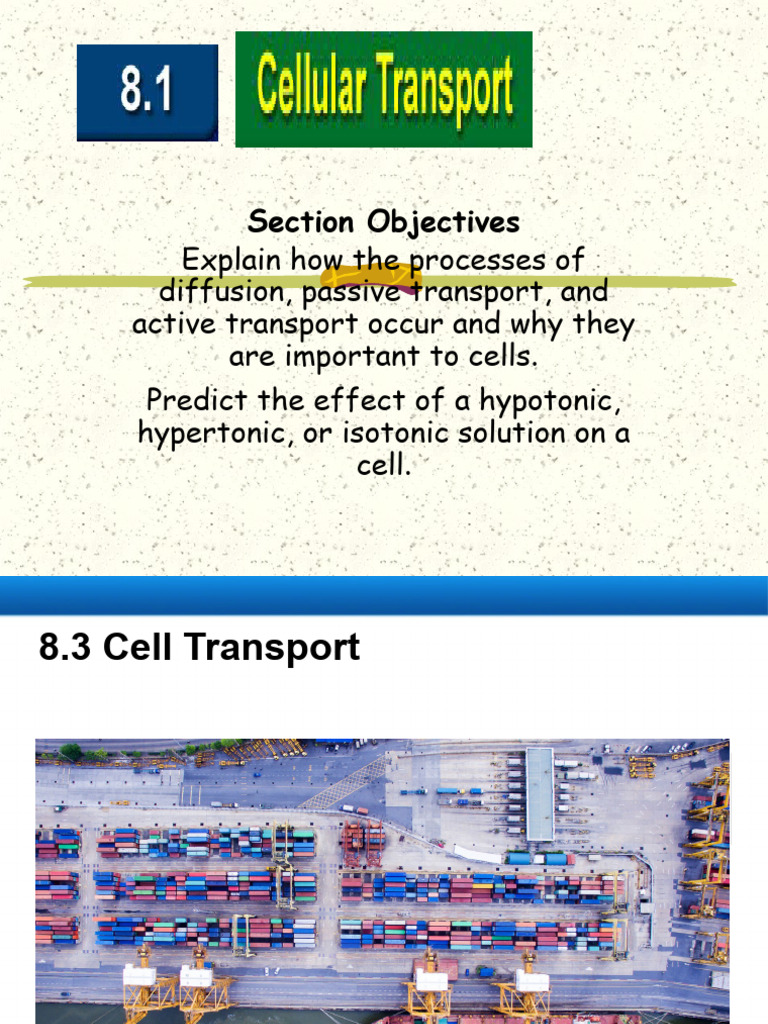 Osmosis Diffusion Active - Transport+student | PDF | Osmosis | Biophysics
