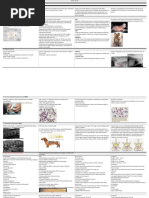 Sample Ultrasound Report | PDF | Adrenocorticotropic Hormone | Medical ...