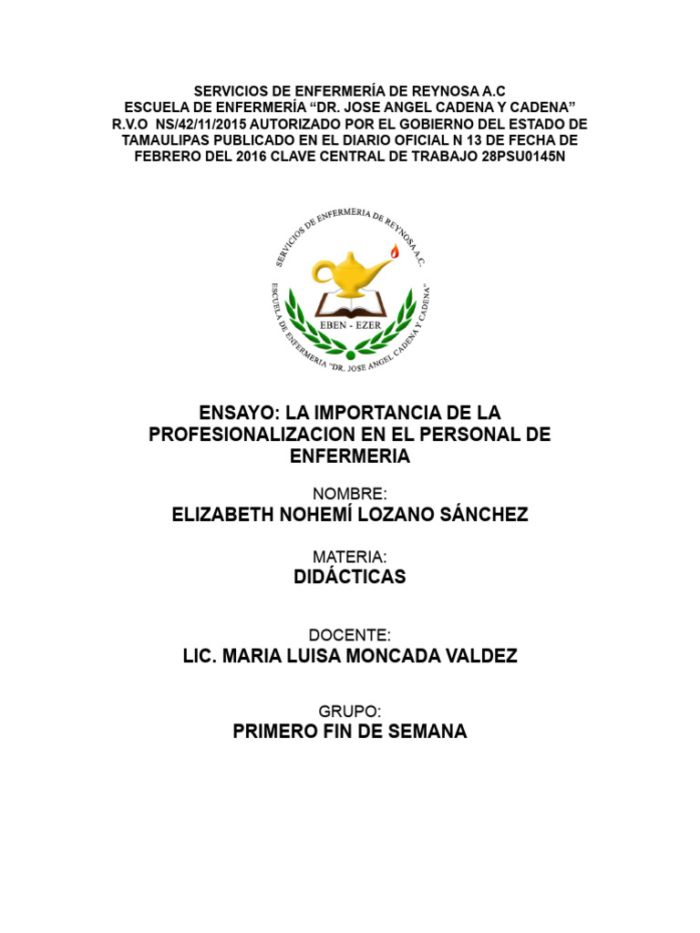 Ensayo La Importancia de La Profesionalizacion en El Personal de ... Ensayo La Importancia de La Profesionalizacion en El Personal de ...