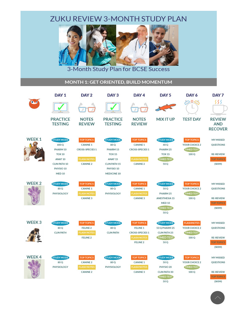 BCSE 3 Month Calendar - Zuku Review - 0 | PDF | Medicine | Health Care