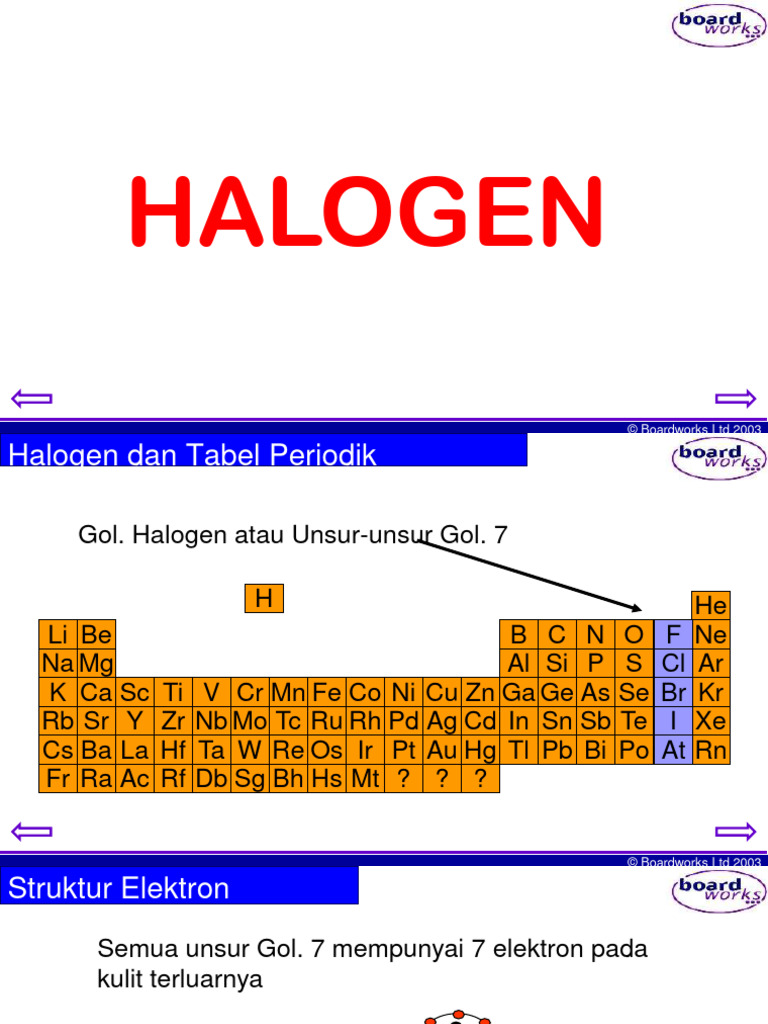 6 Halogen | PDF