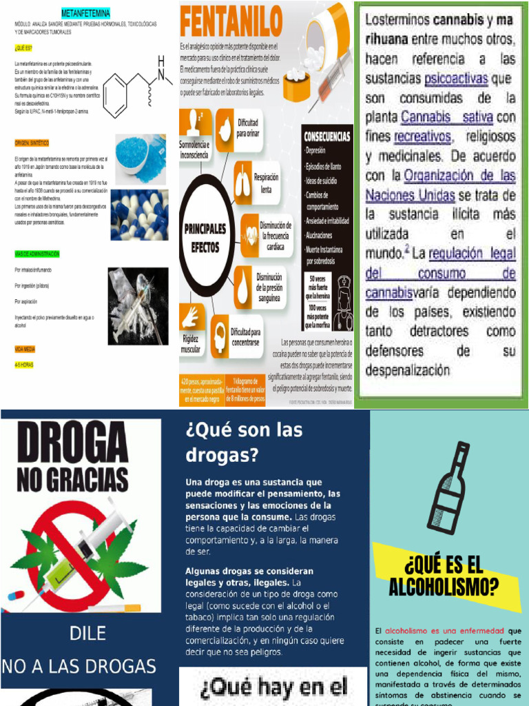 Triptico Drogas | PDF