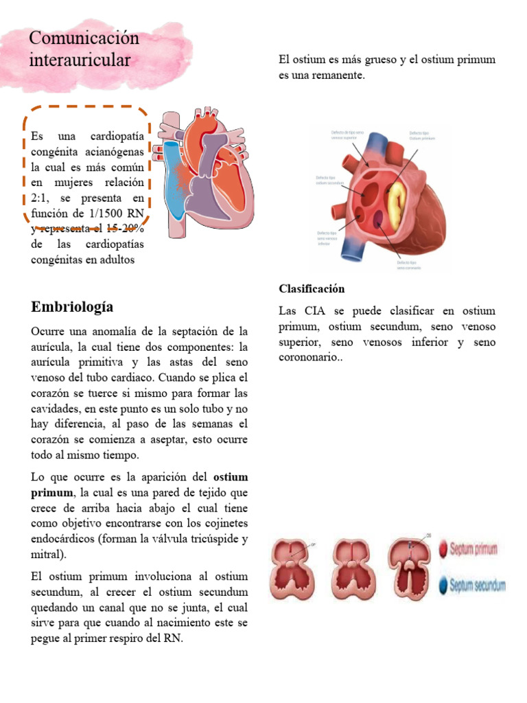 Comunicación Interauricular | PDF