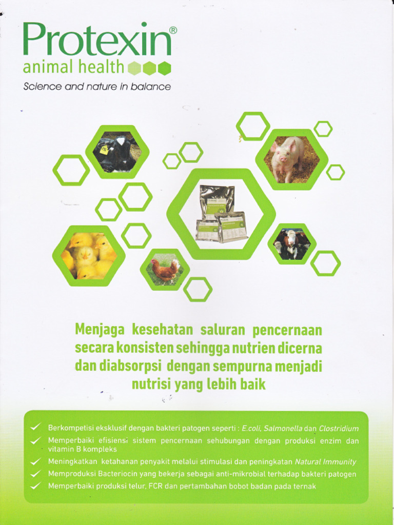 PROTEXIN | PDF