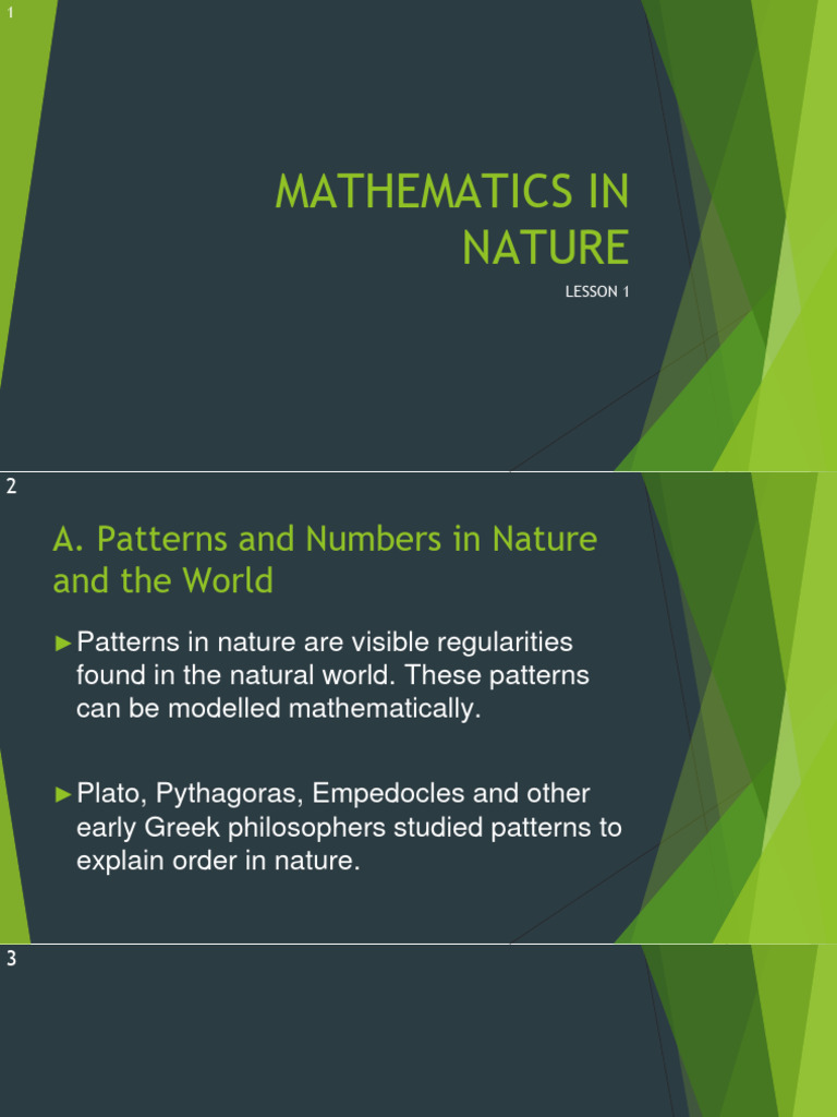 Mathematics of Patterns in Nature | PDF | Teaching Methods & Materials | Art
