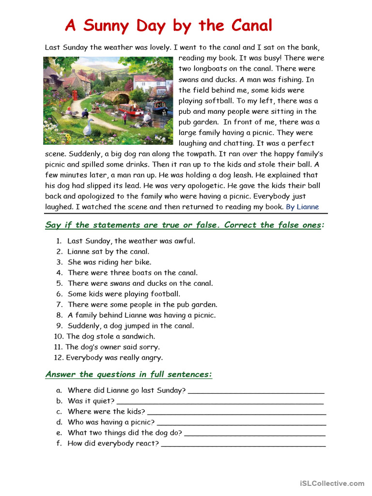 Reading comprehension (5) | PDF