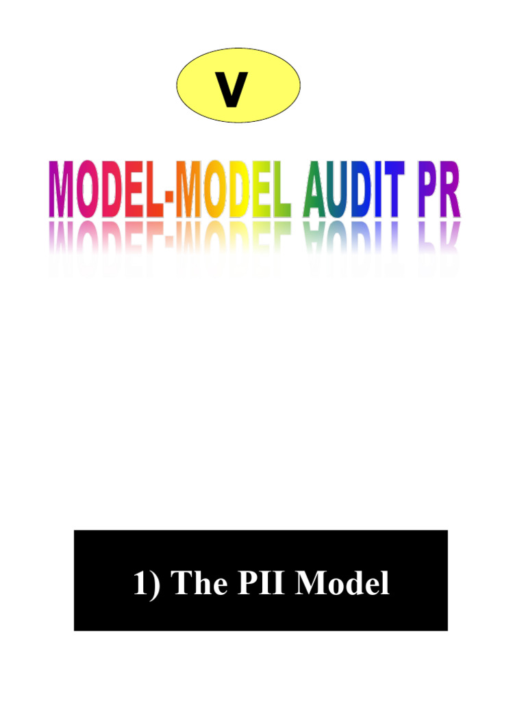 Model-Model Audit PR | PDF