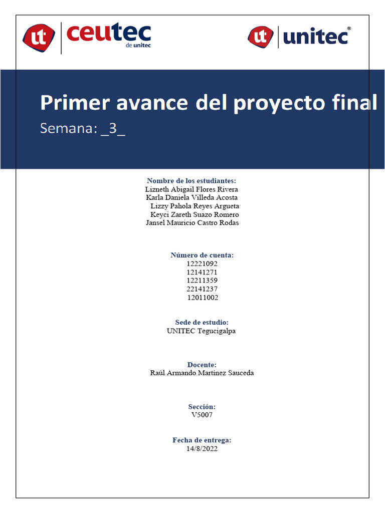 Segundo Avance - Admin1 | PDF