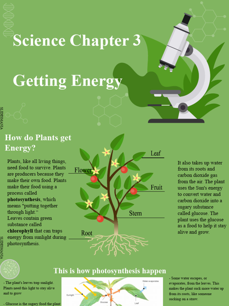 Science Chapter 3 - Getting Energy | PDF