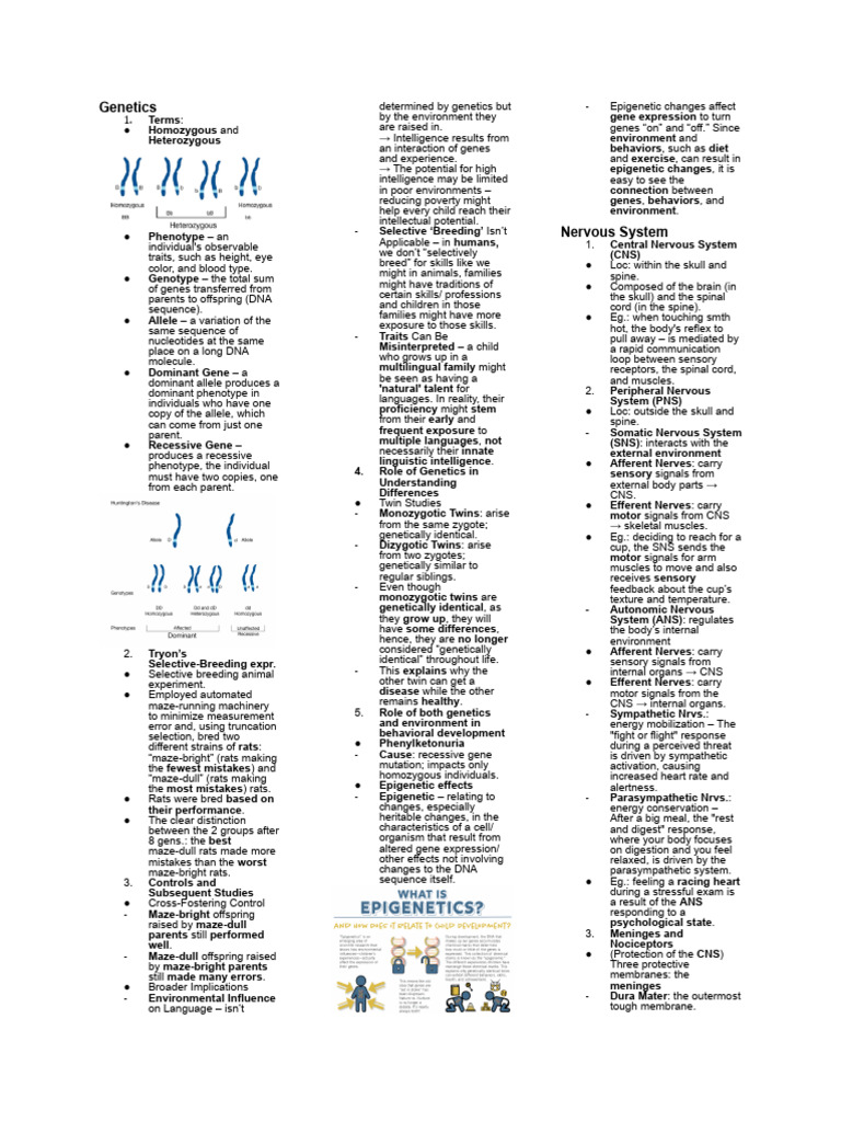 Introduction To Psychobiology Cheat Sheet | PDF