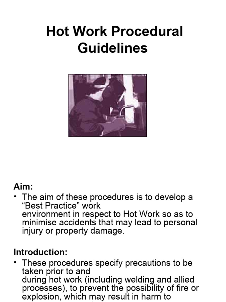 Hot Work Procedural Guidelines | PDF | Dangerous Goods | Fires