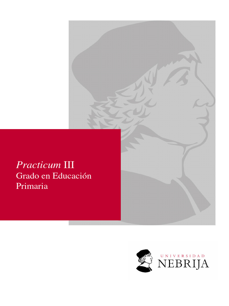 3PRIMA - Practicum III | PDF