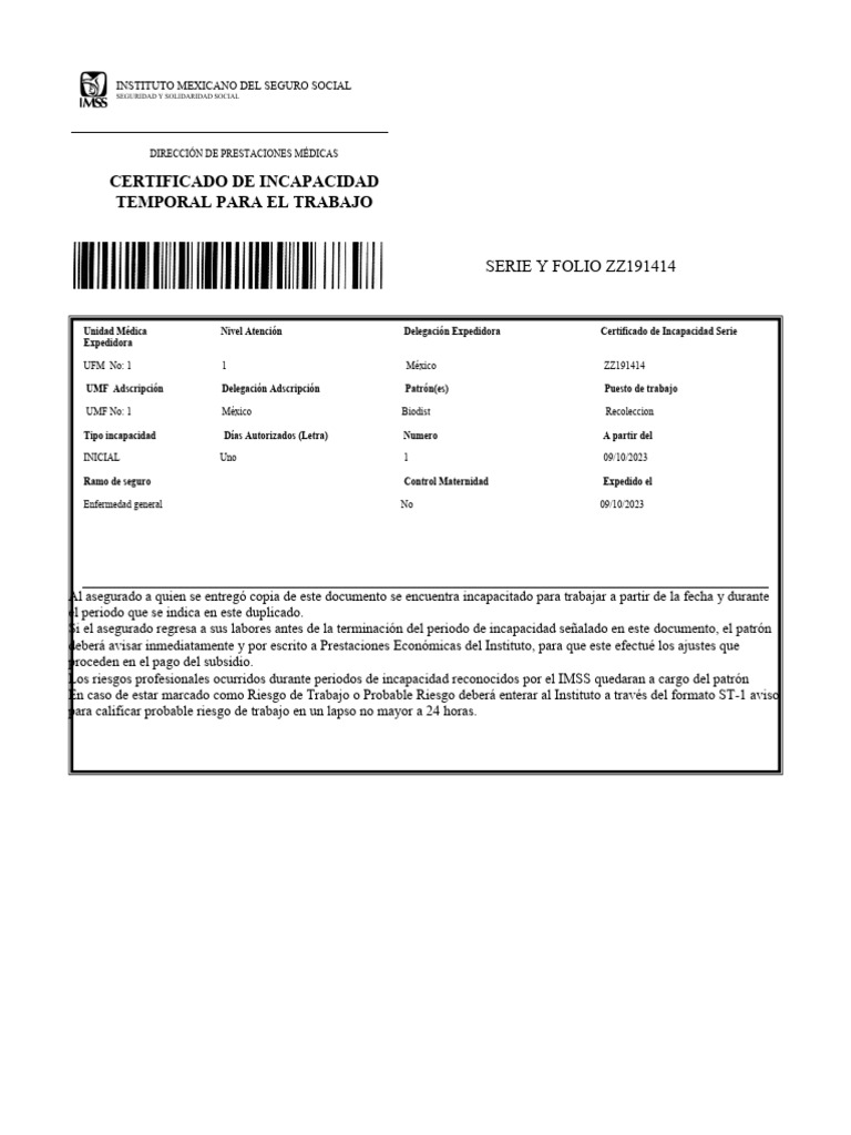 Formato Incapacidad Imss Editable Word | PDF