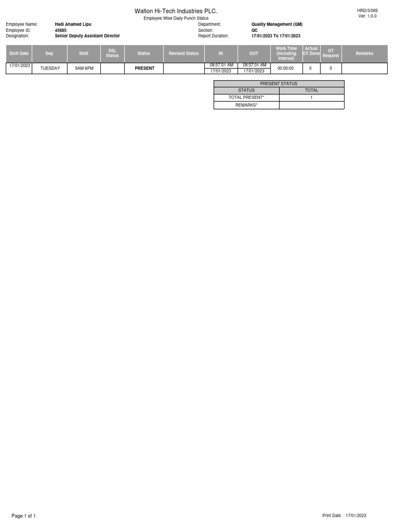 Employee Wise Daily Punch Status - 2 | PDF