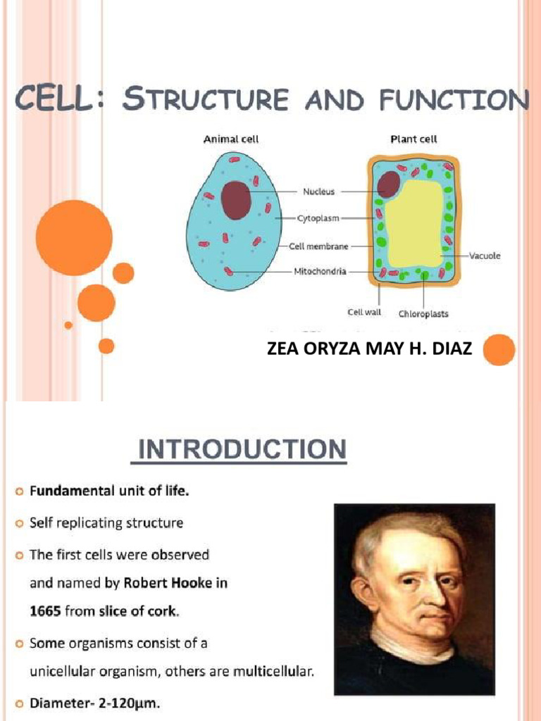 Cell Structure and Function | PDF
