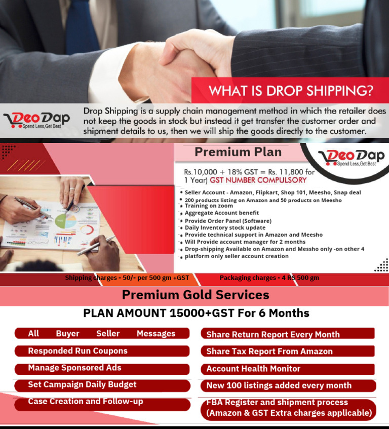 Dropshipping Plan Details - New PDF | PDF