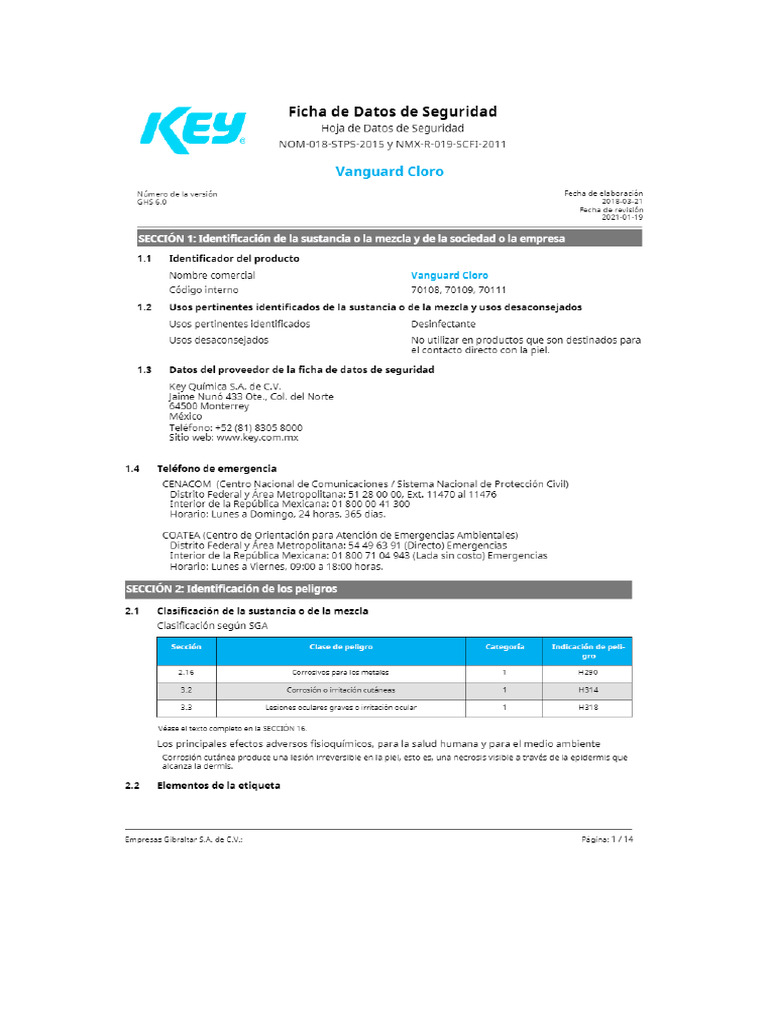 SDS - Vanguard Cloro | PDF
