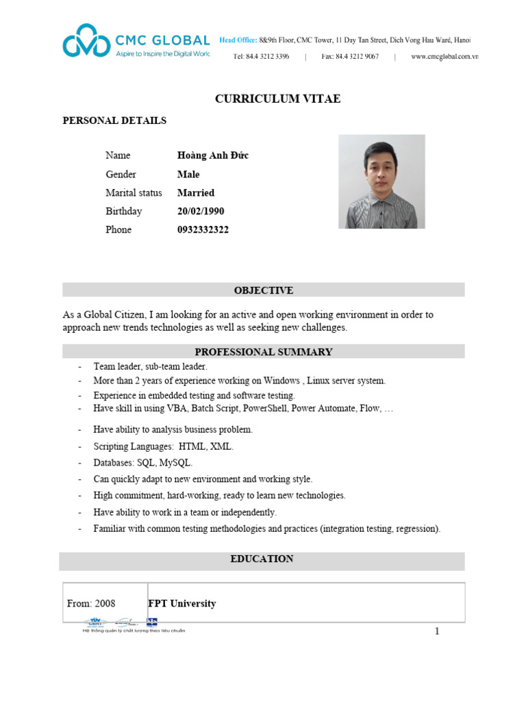 IT Professional's Career Journey | PDF | Computers | Technology & Engineering