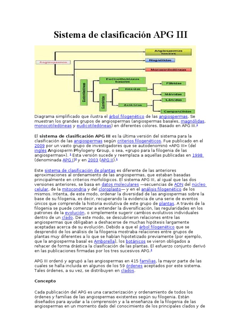 Clasificación APG III de Angiospermas | PDF | Clasificación biológica ...