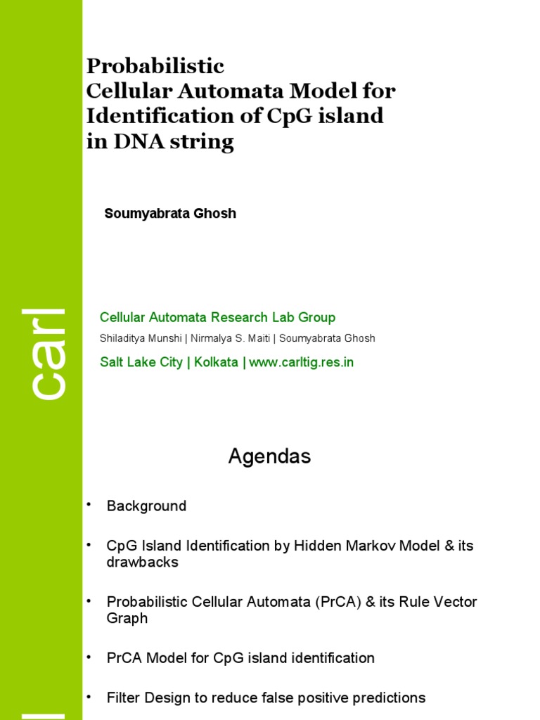 Probabilistic Cellular Automata Model For Identification of CPG Island in Dna String | PDF ...
