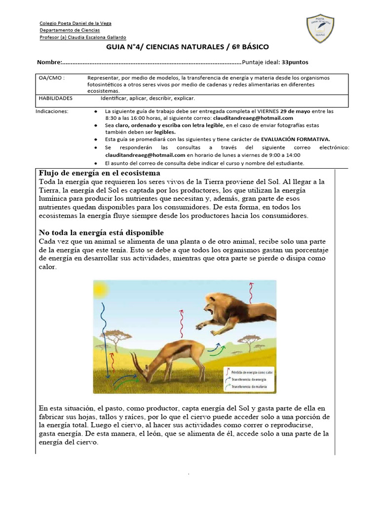 Guía de Energía y Redes Alimentarias | PDF | Métodos y materiales de ...