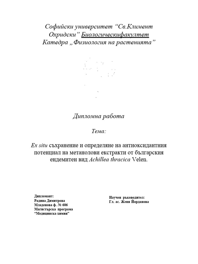 Diplomna Rabota Radi | PDF