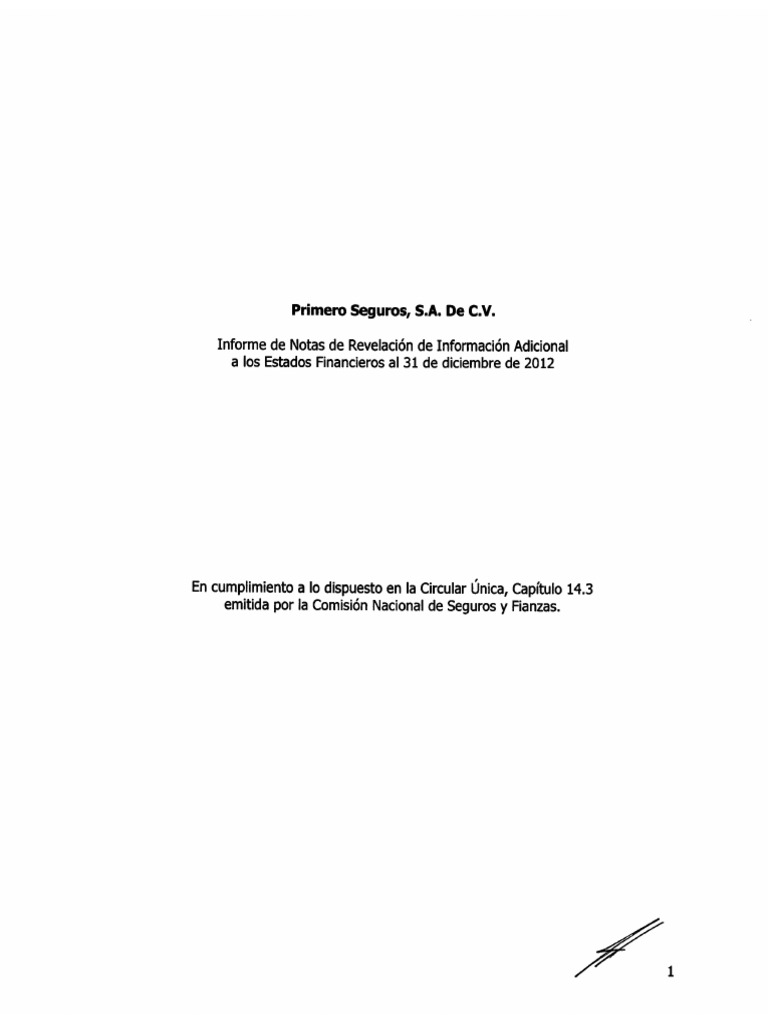 Notas Revelacion Adicional 2012 | PDF