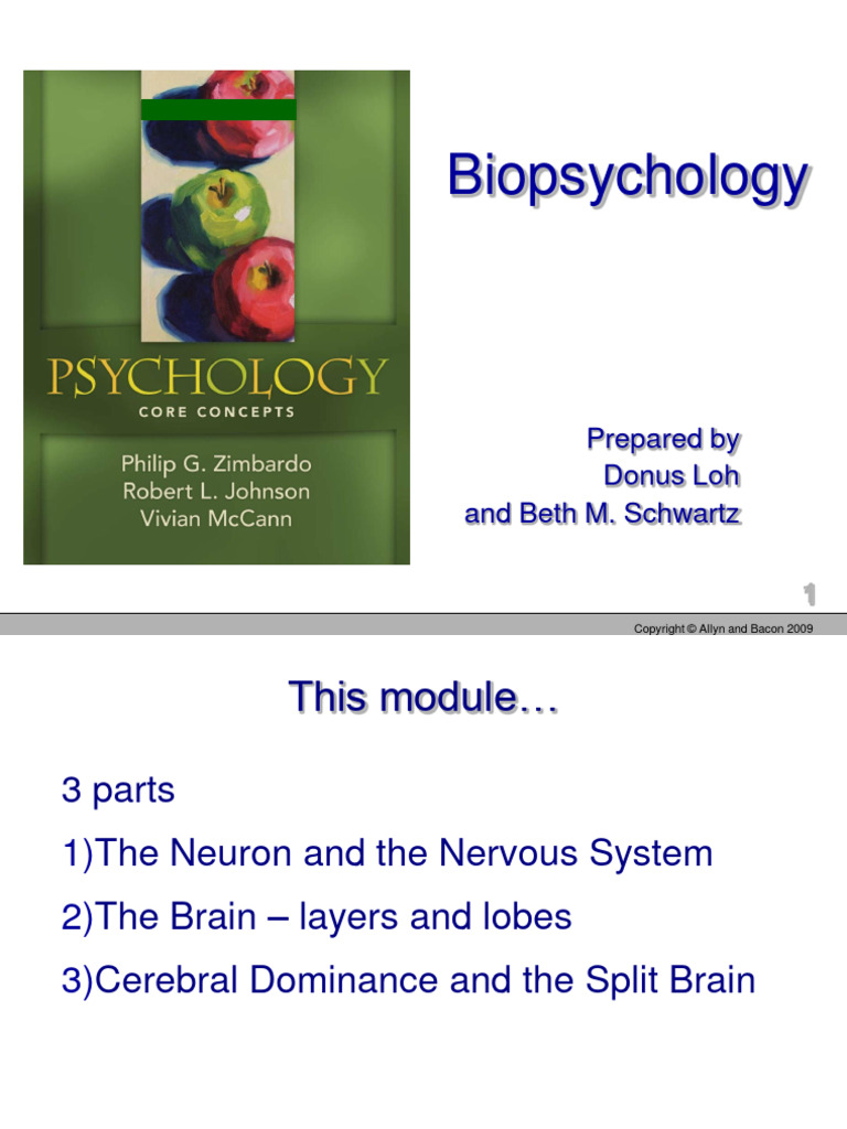 Seminar 3 BioPsychology Part 1 of 3 | PDF