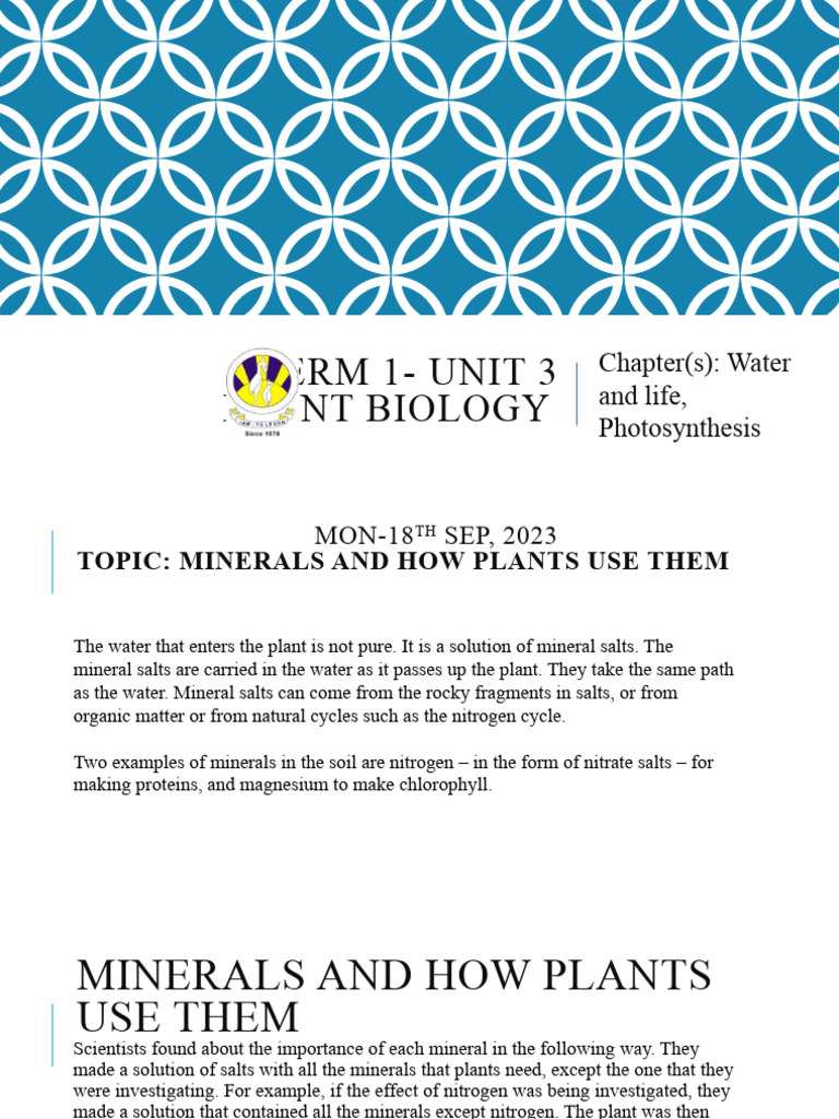 Unit 3 - Plant Biology | PDF | Carbon Dioxide | Photosynthesis