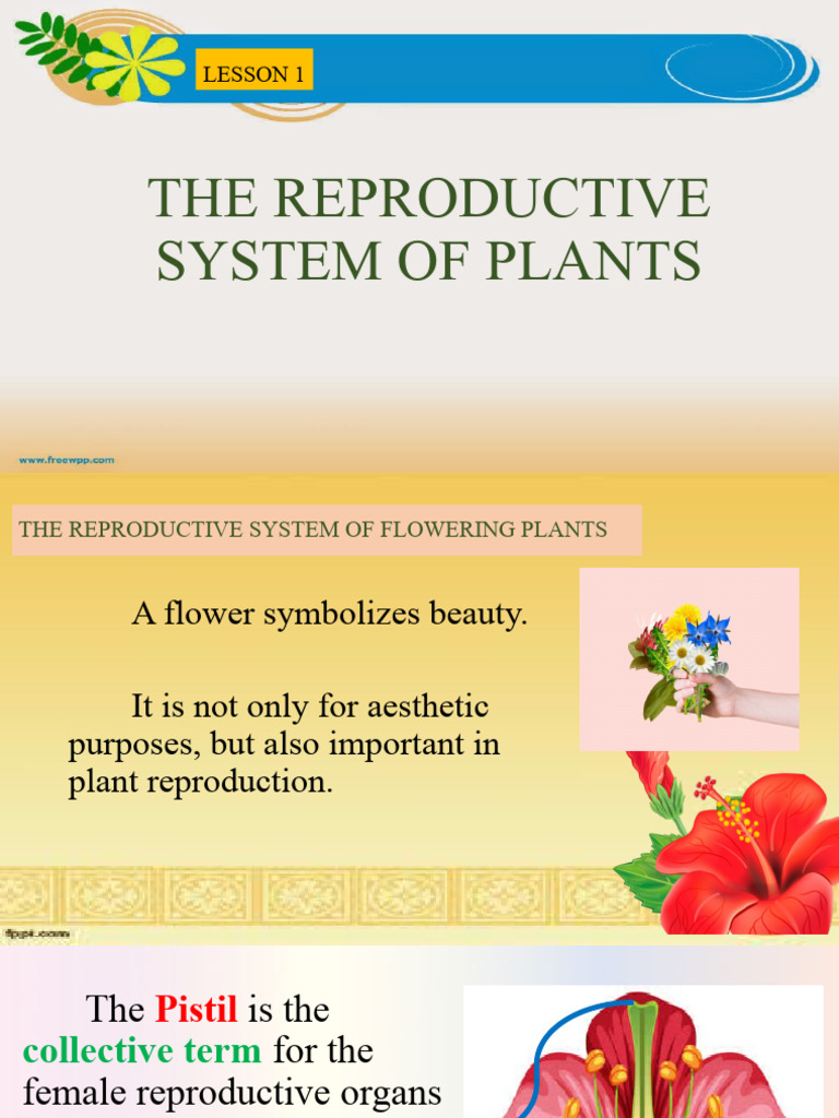 Science 5 - Lessson - The Reproductive Systems of Plants | PDF