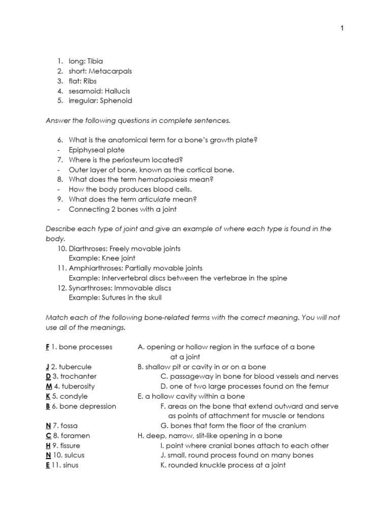 Skeletal System Medical Terminology Part 2 | PDF | Bone | Skull