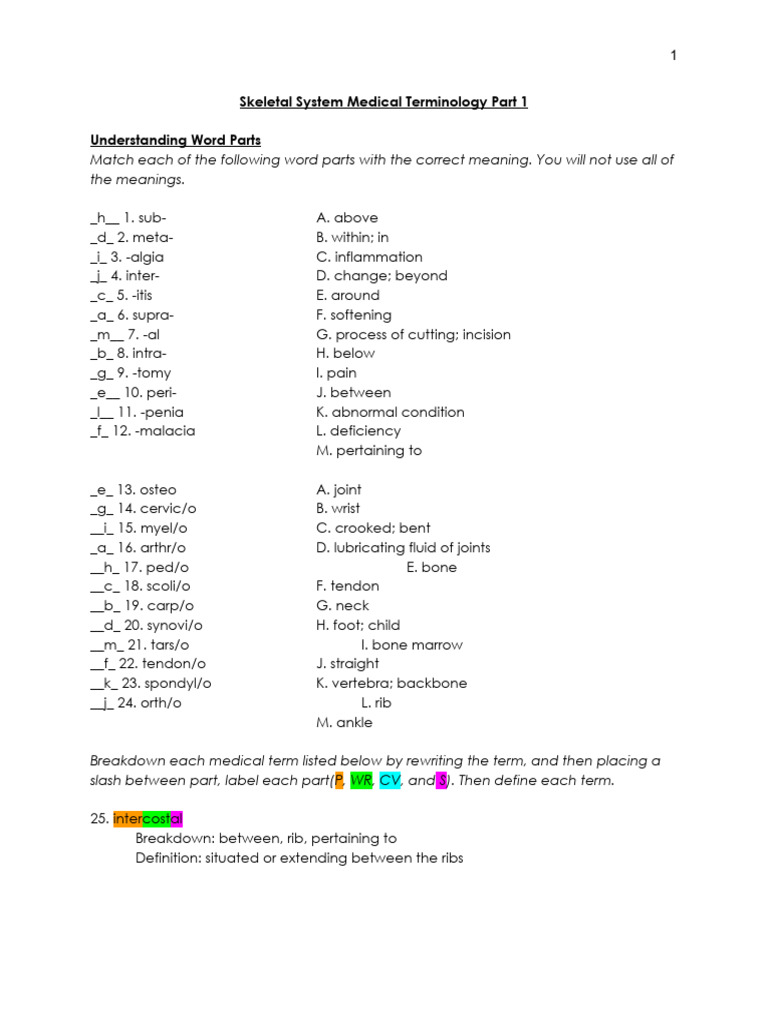 Skeletal System Medical Terminology Part 1 | PDF
