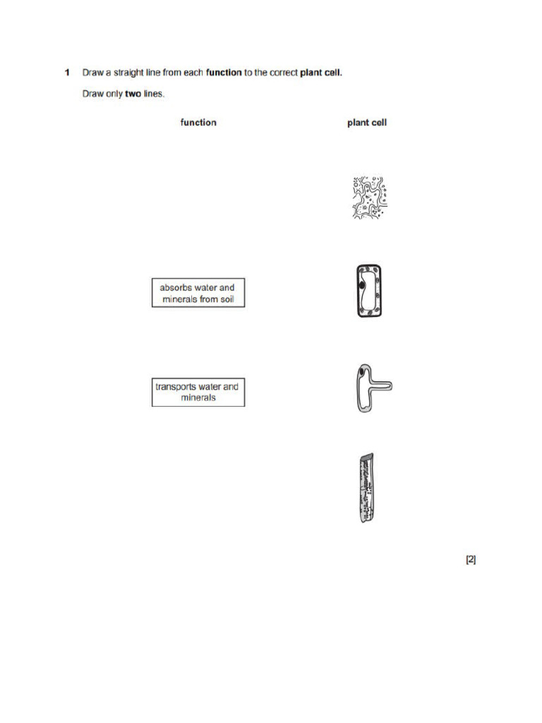 F1 Science Exam | PDF