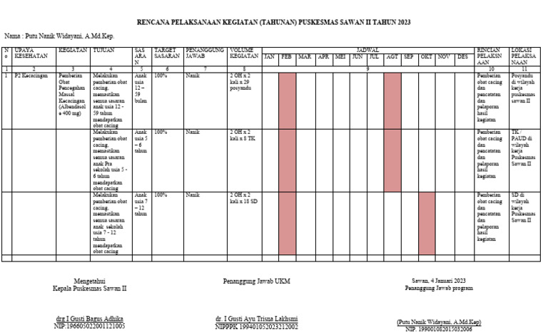 FORMAT RPK 2023 | PDF