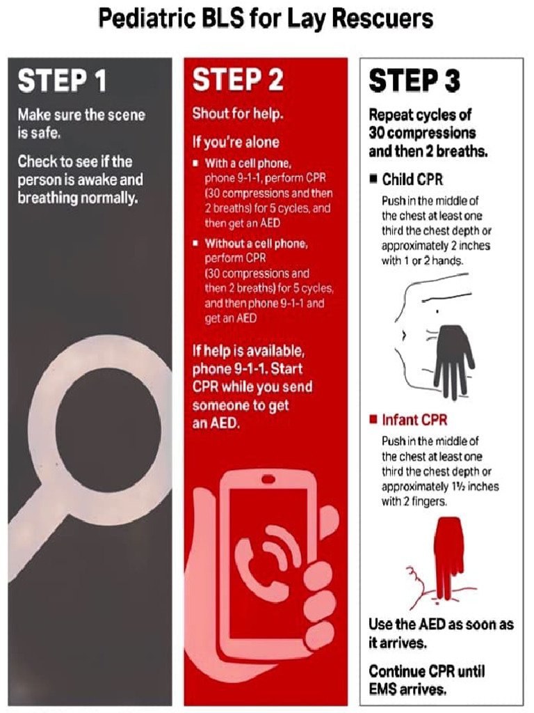Pediatric BLS and PALS Guidelines | PDF | Science & Mathematics