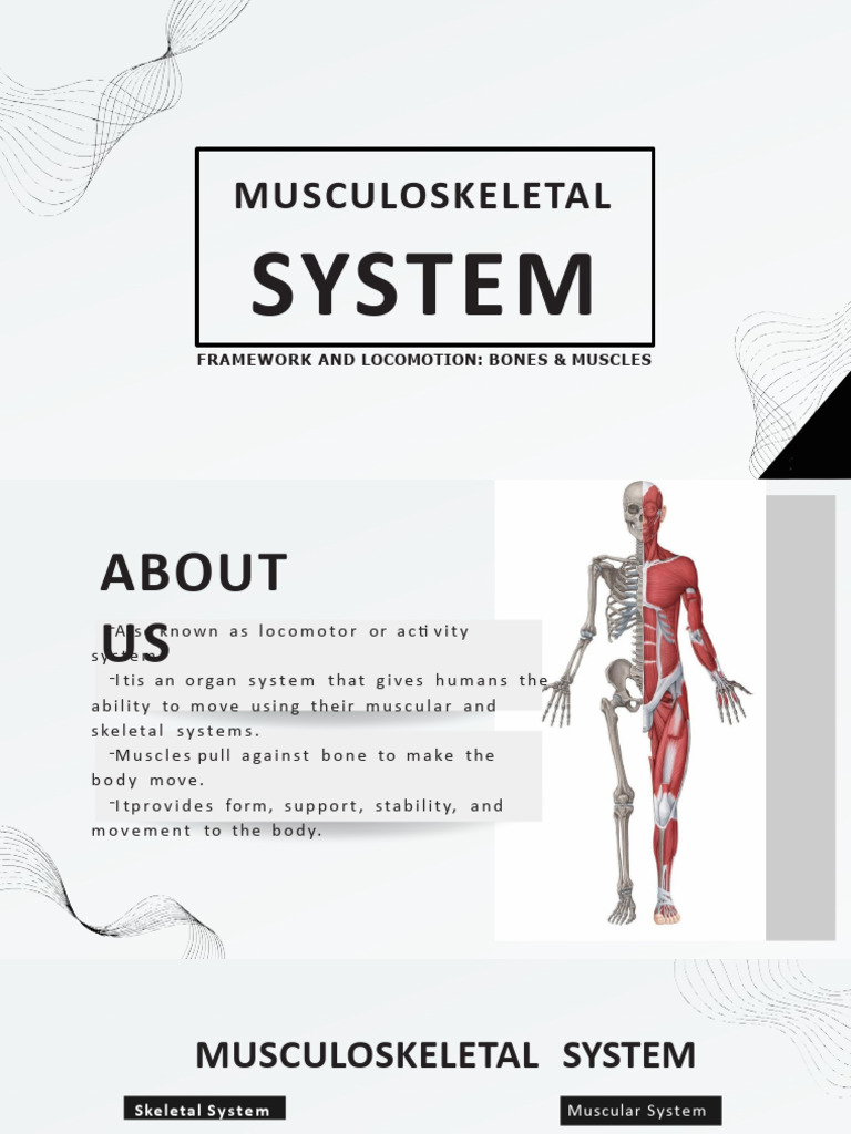 Mus Culo Skeletal System | PDF