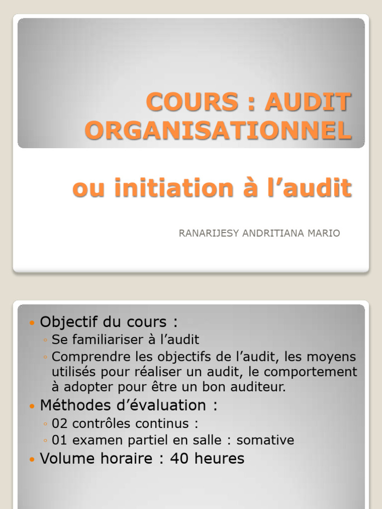 Cours Audit Organisationel Pour En Ligne Pdf