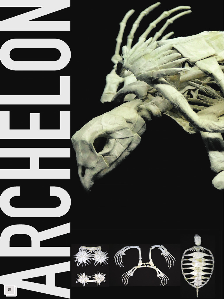 Origami Archelon Skeleton | PDF