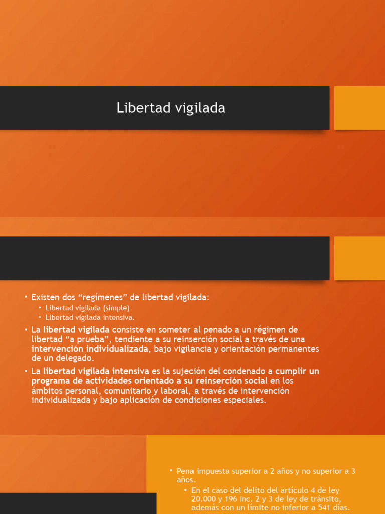 Penas Sustitutivas Ii 1 Pdf Castigos Derecho Laboral 1136