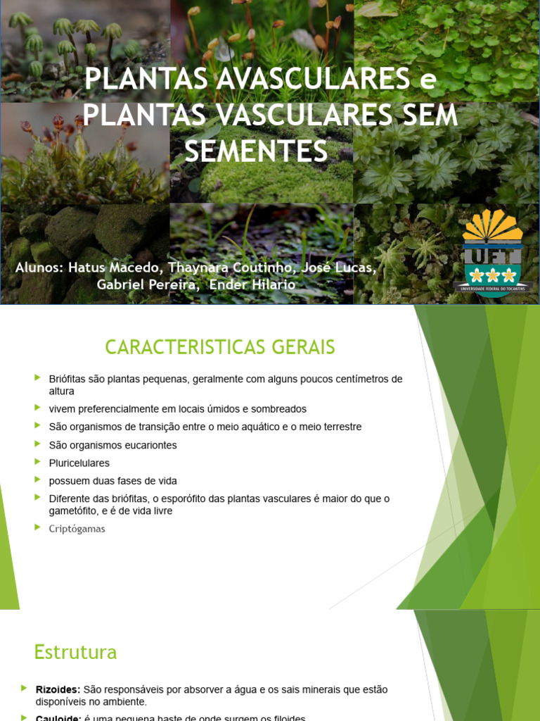 Plantas 2.0 | PDF