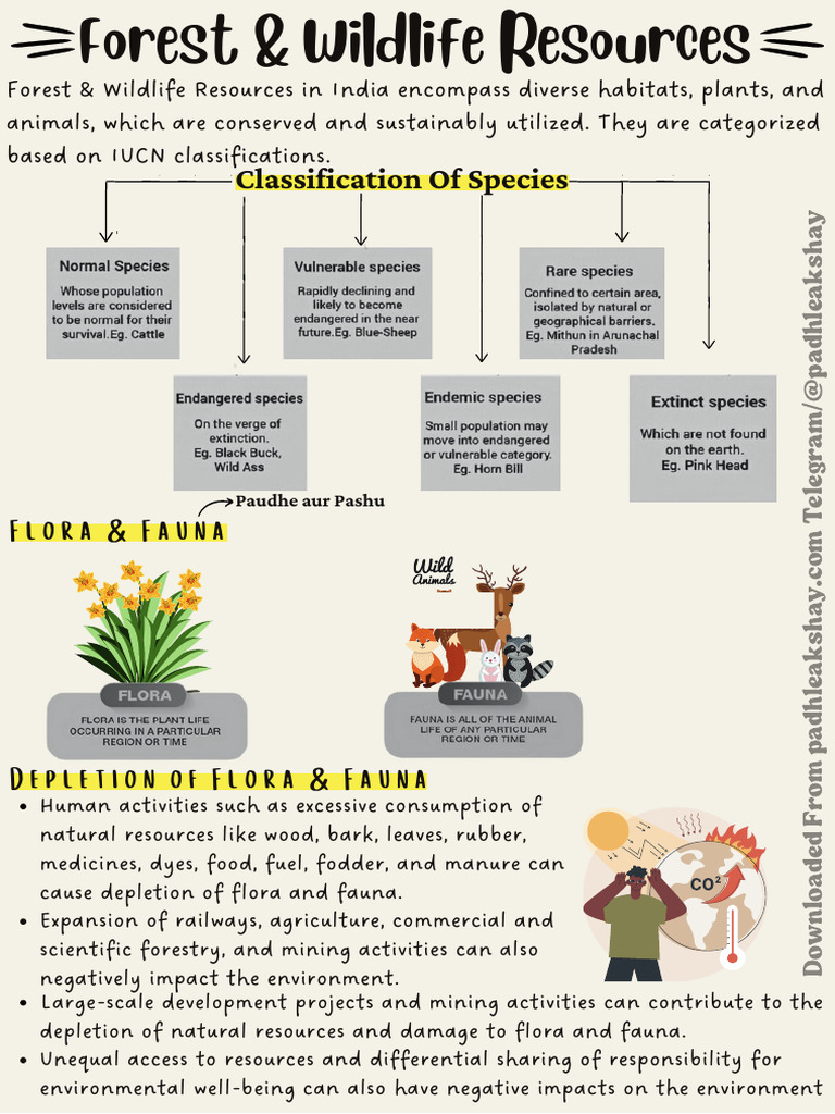 Forest & Wildlife Resources - Geography | PDF